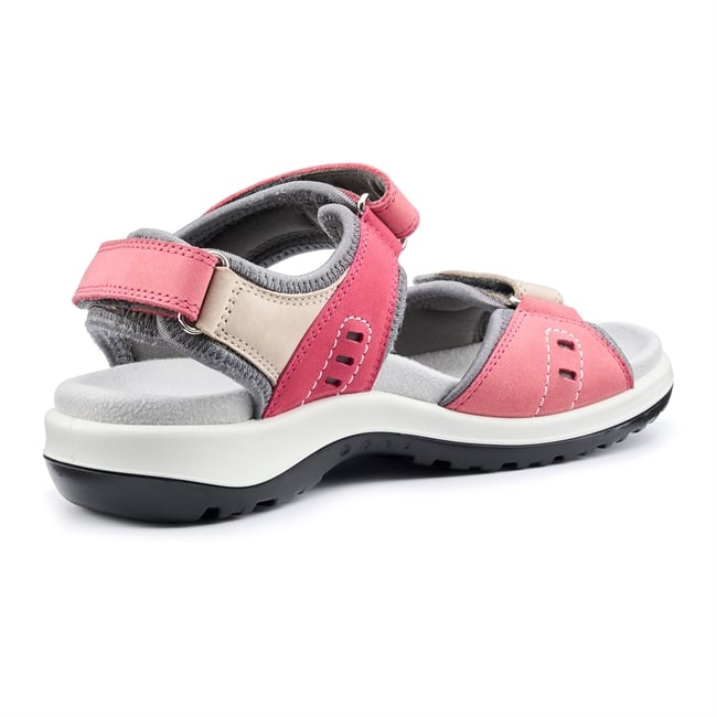 Tea Rose Multi | Women’s Walking Sandals | Walk II Sandals | Hotter UK